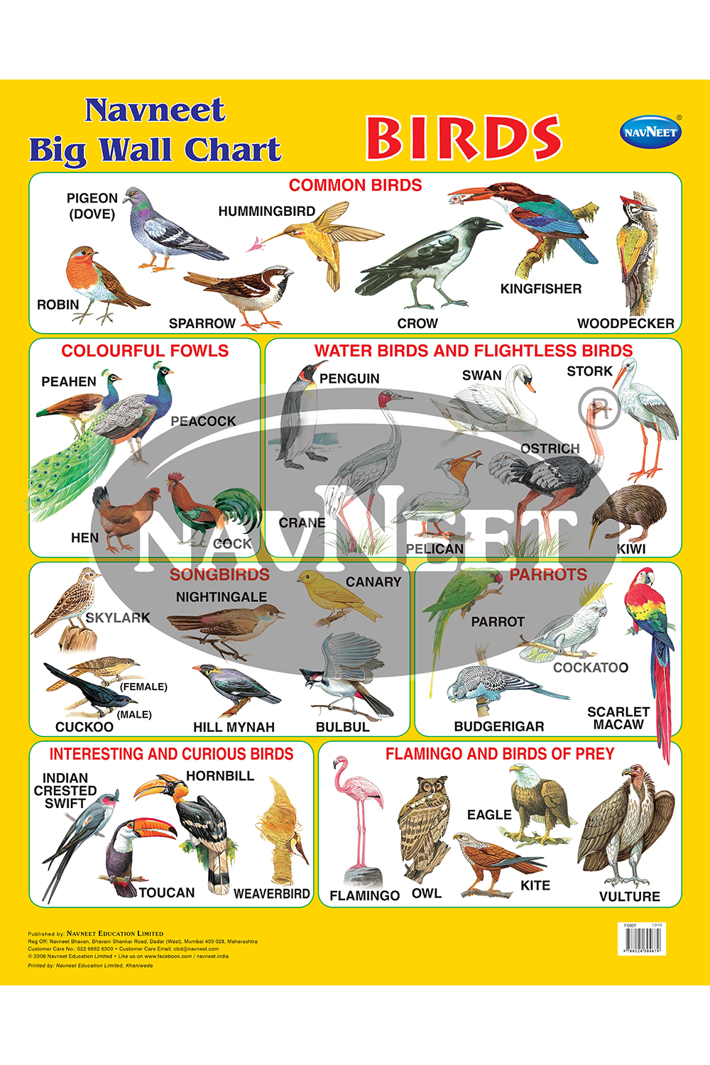 NAVNEET BIG WALL CHART -BIRDS - Navneet Education Limited