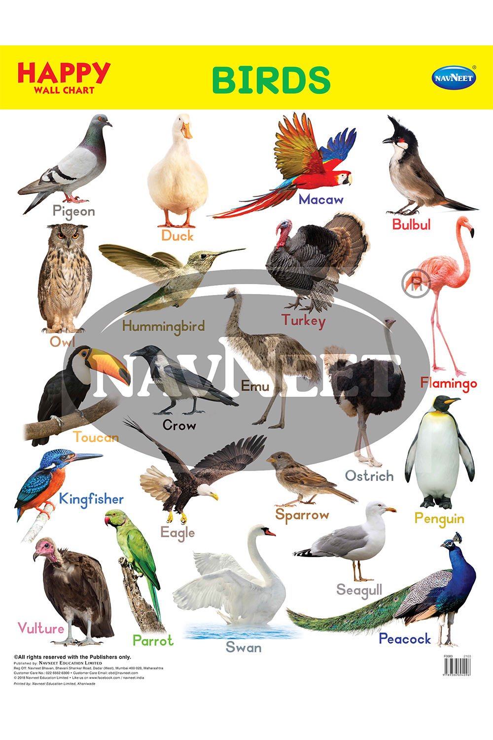 HAPPY WALL CHART BIRDS - Navneet Education Limited