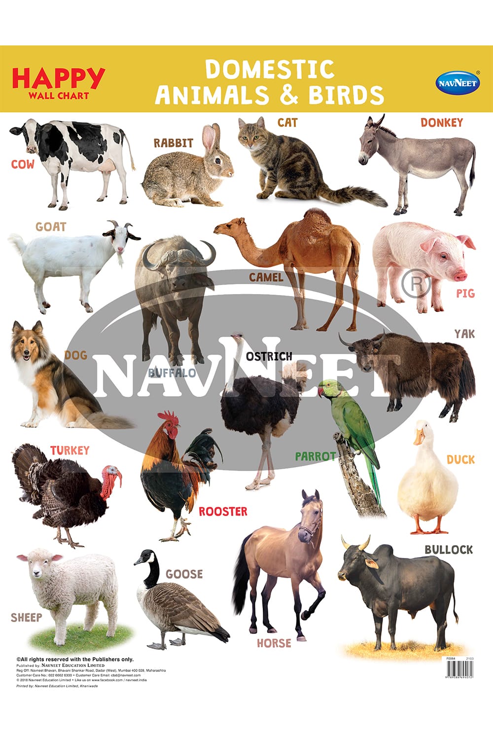 HAPPY WALL CHART DOMESTIC ANIMALS & BIRDS - Navneet Education Limited