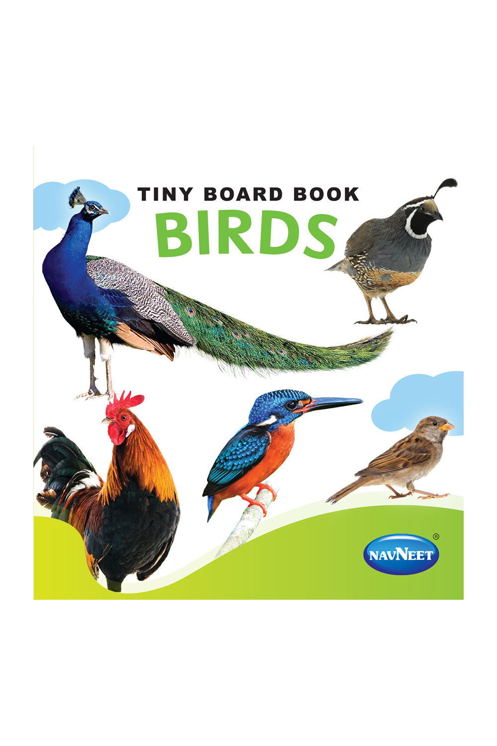 Tiny Board Book Birds - Navneet Education Limited